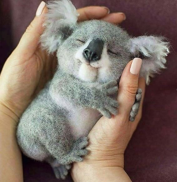 Estos son lo animales más tiernos del planeta – Mariano Osorio