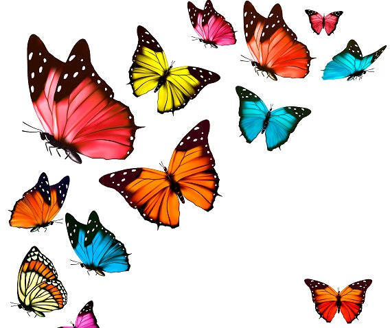 Un gen es clave para determinar el patrón de color en las mariposas ...